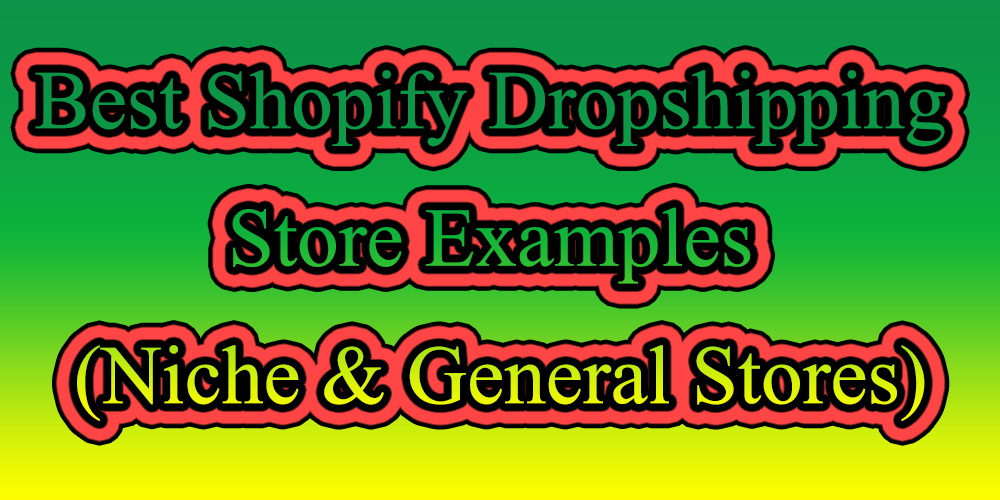 4 Best Shopify Dropshipping Store Examples Niche General Stores 