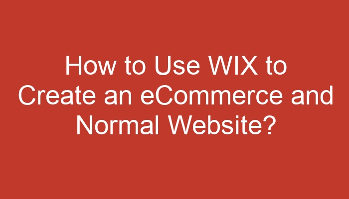 How To Use WIX To Create An ECommerce And Normal Website 